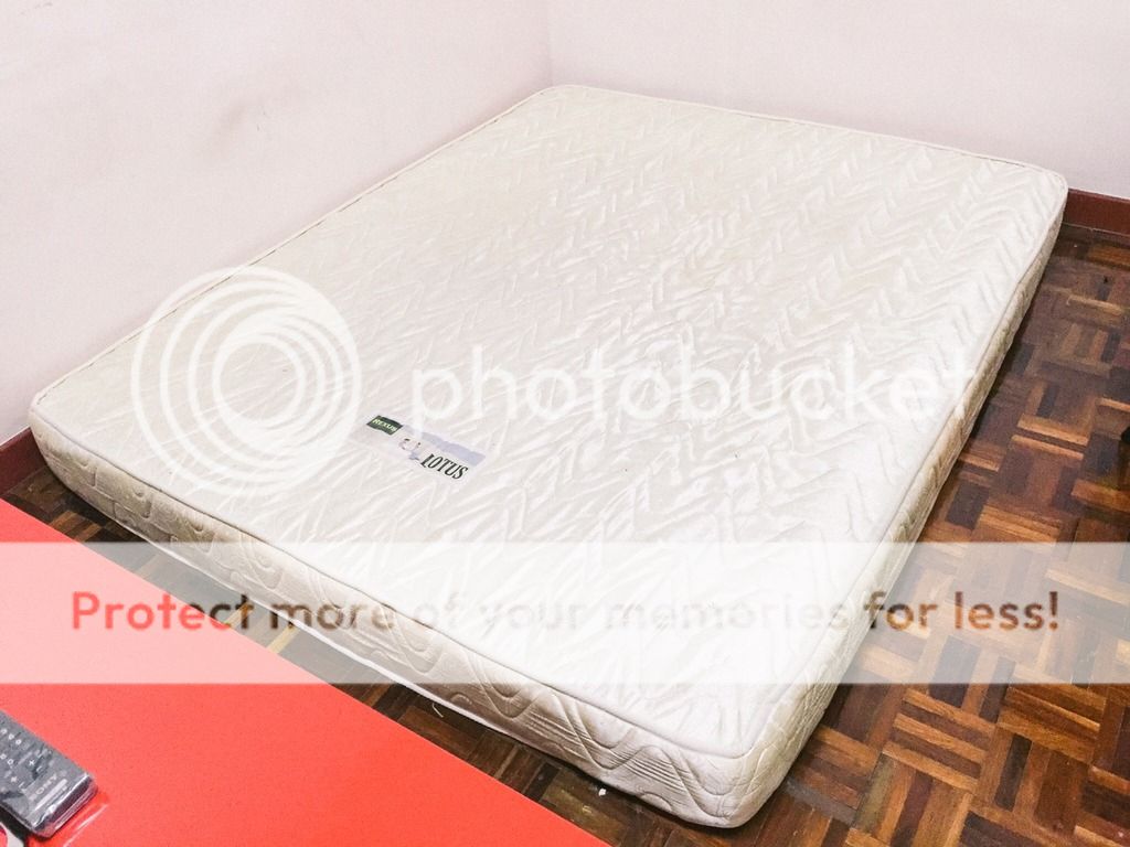 [WTS] Rexus Lotus 6" Queen Mattress Tilam